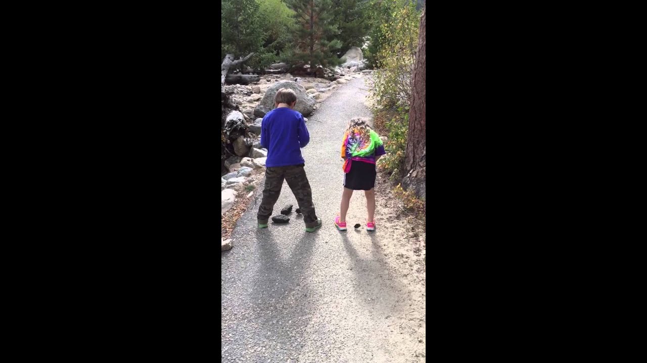 Pooping in the wilderness - YouTube