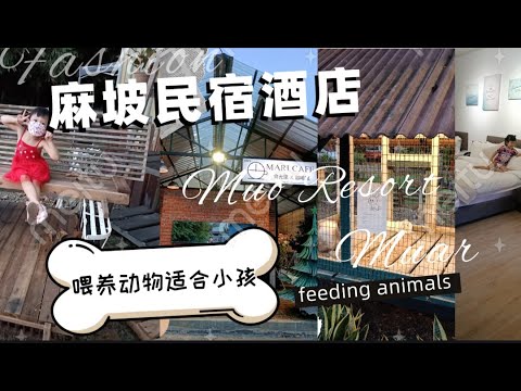 #muar #vlog Johor - MUO resort feeding animal -kid's activities 麻坡民宿酒店 ...