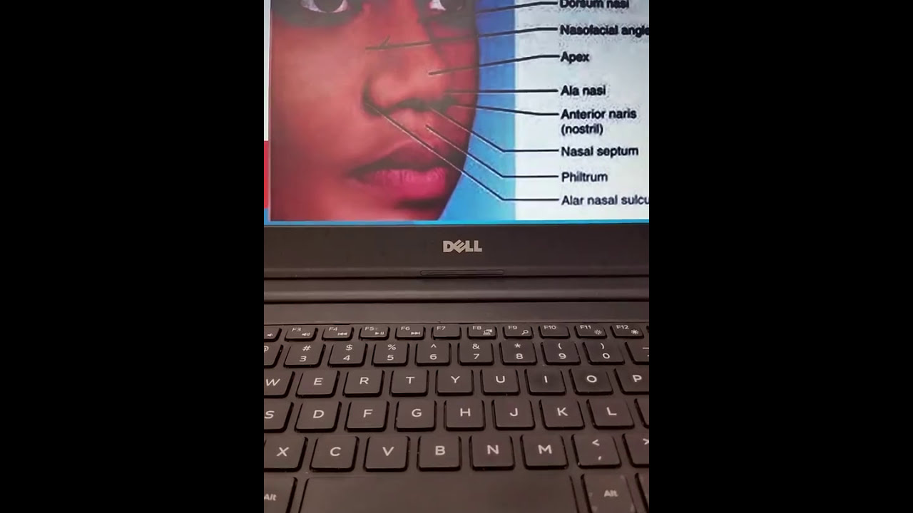 How to Perform a Nasal and Sinus Exam - YouTube