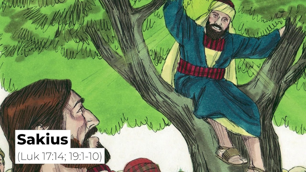 Sakius #33 - YouTube