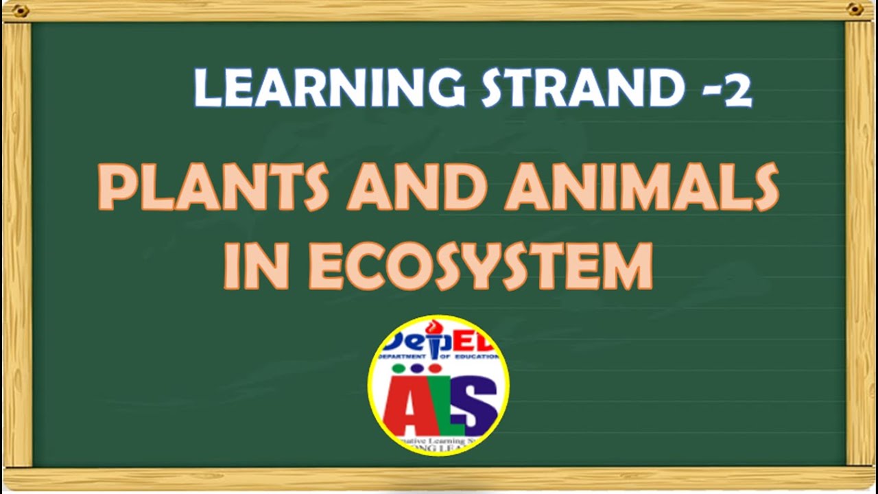 PLANTS AND ANIMALS IN ECOSYSTEM LEARNING STRAND-2 ; SCIENTIFIC LITERACY ...