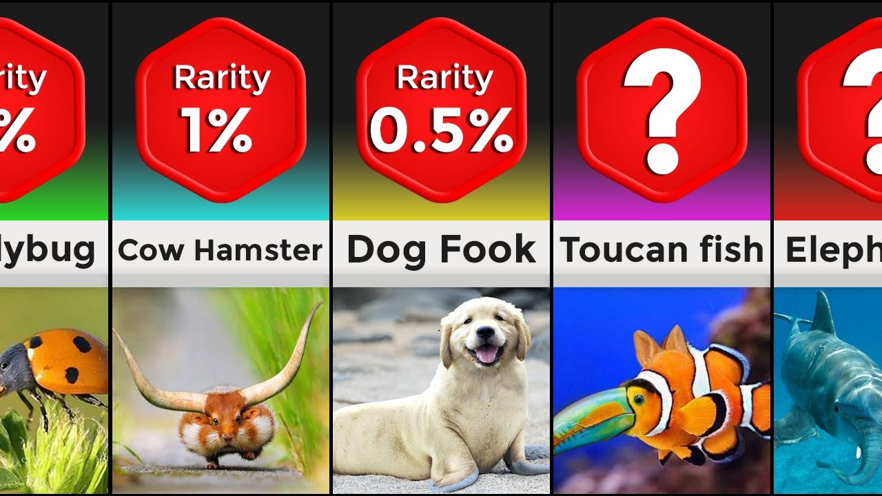 Rarest Animals Probability Comparison! pt.4 - YouTube