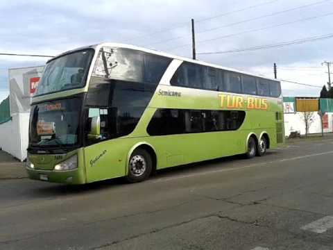 Buses Tur-Bus - YouTube