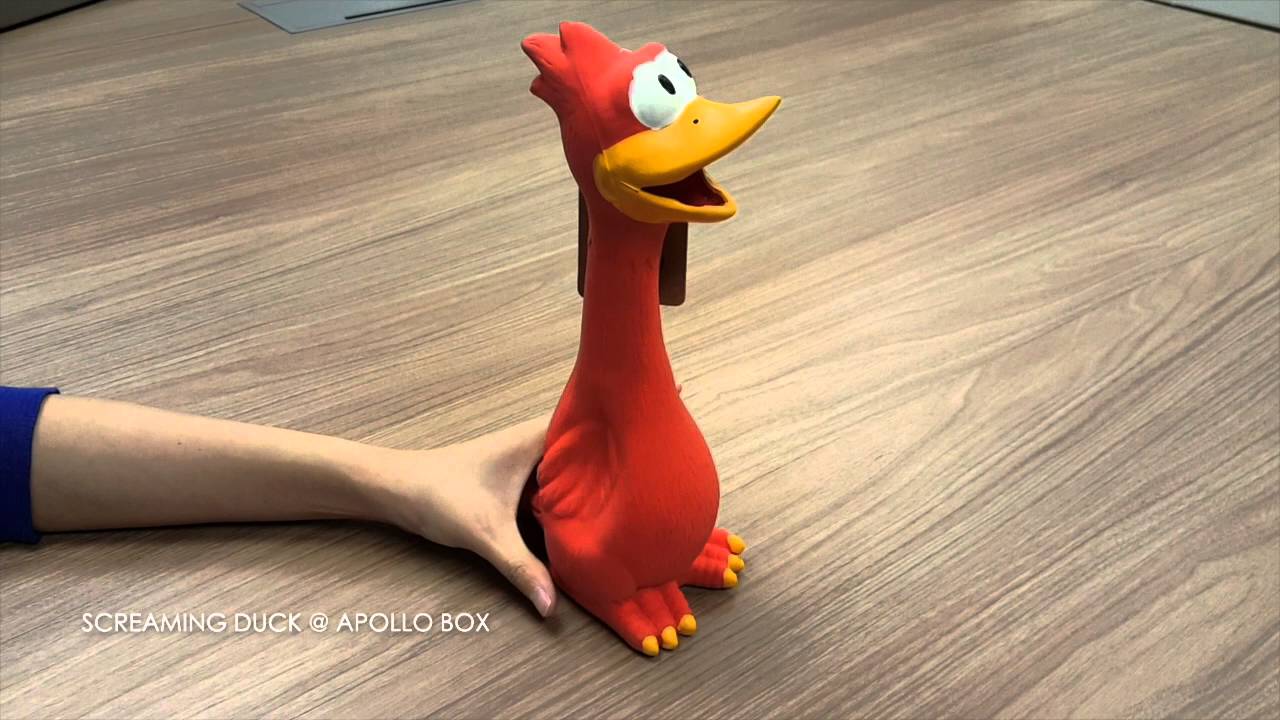 Screaming Duck Toy for Pets @ Apollo Box - YouTube
