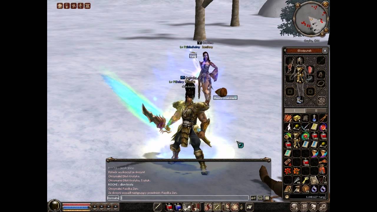 METIN2PL | Wstępny Film! ROONI - YouTube