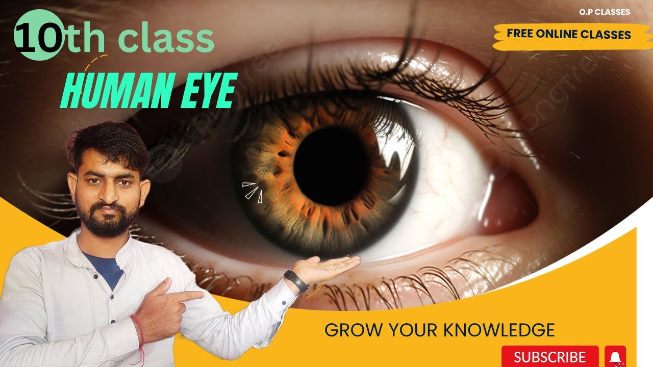 || HUMAN EYE AND COLOURFULL WORLD || #10th - YouTube