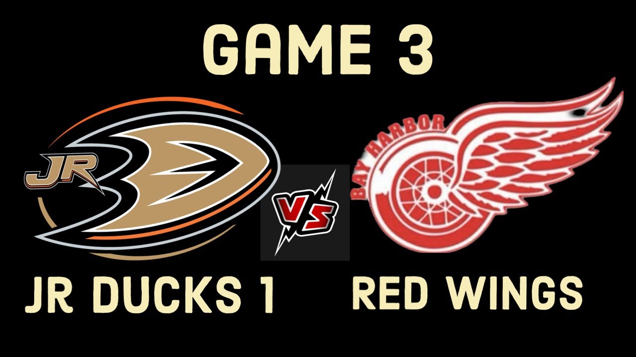 Jr Ducks vs Red Wings SCAHA 14uA 23-24 Season October 1 - YouTube