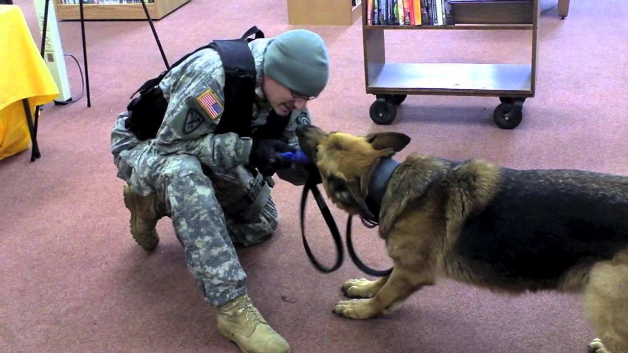 Military Police K9 Detachment Visits the Library! - YouTube