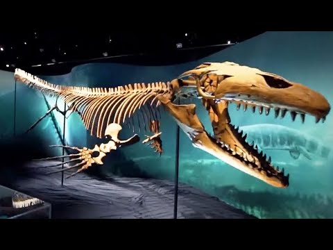 Meet some real-life monsters of the deep - Kea Kids News - YouTube