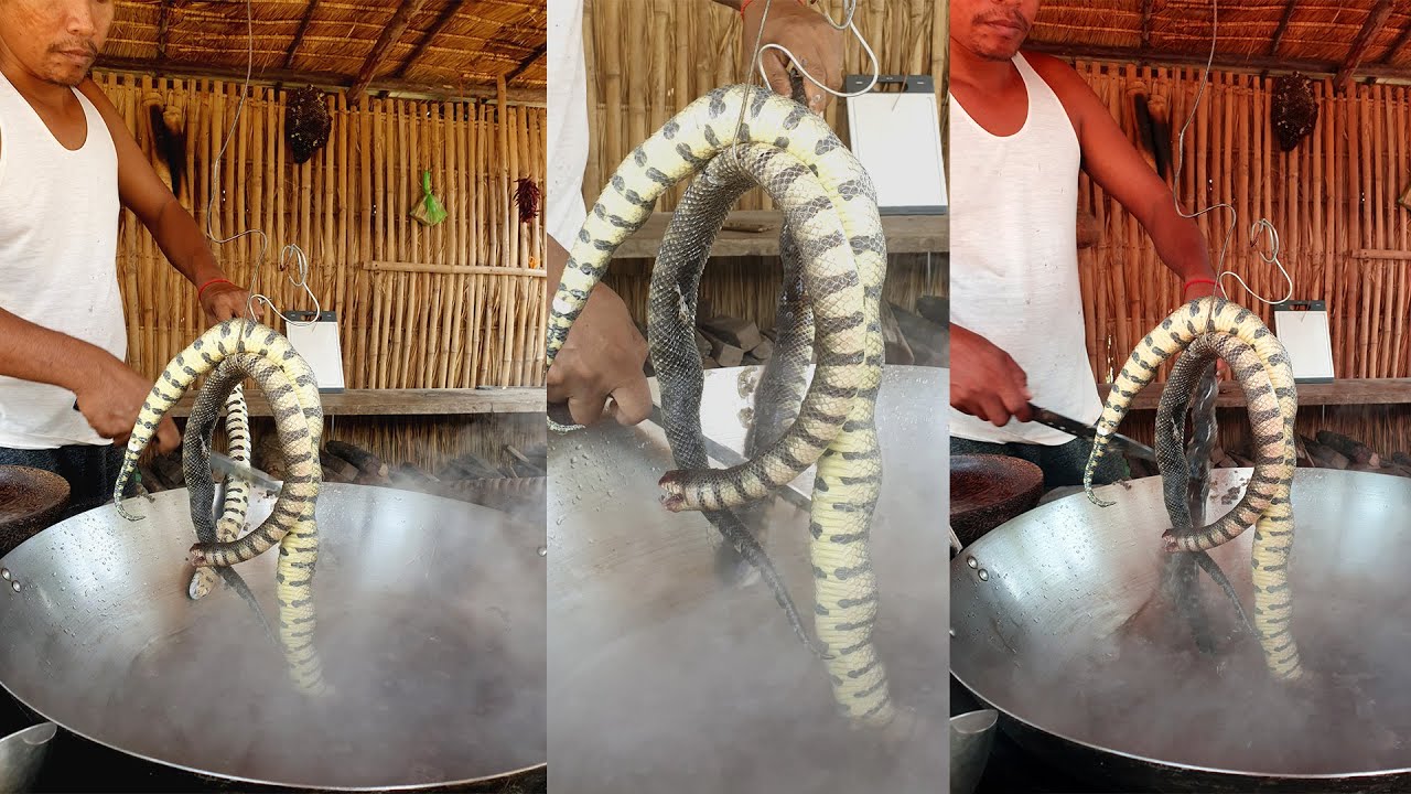 Catch Snakes At Home To Cook Delicious - YouTube