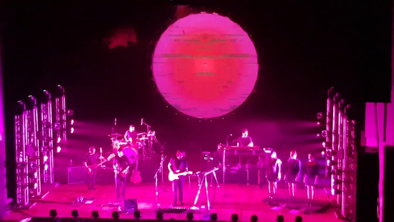 Atom pink floyd tribute - Pigs Three Different Ones - Tour Animals 2019 ...