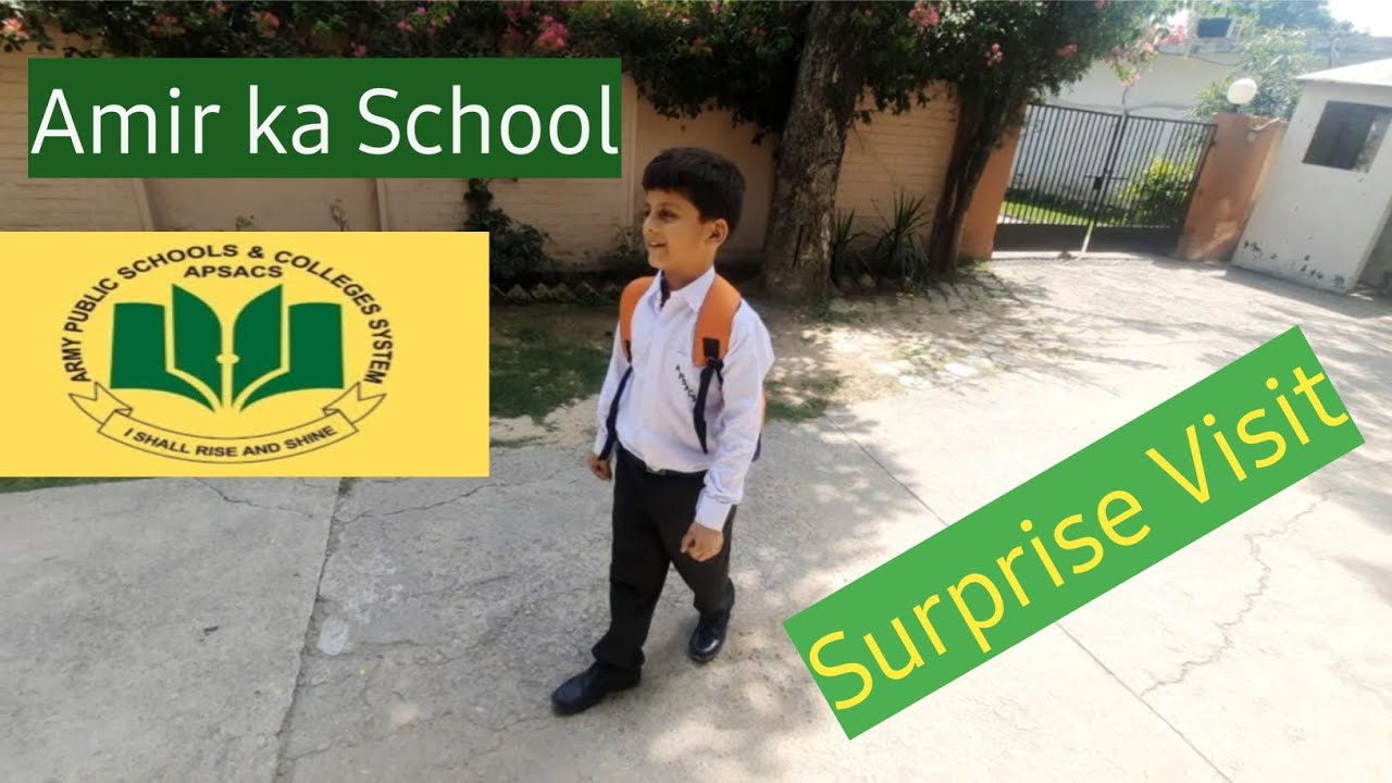 Amir's School 🏫 | Army Public School and Collage System | APS EME ...