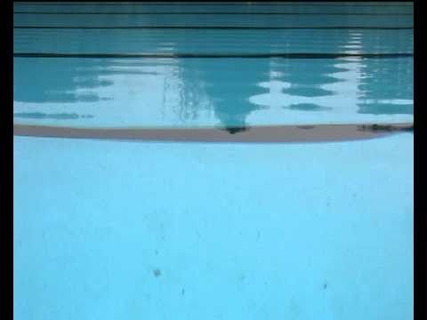 Pool - YouTube