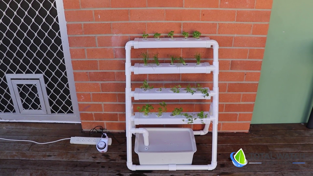 Hydro 20 Small Home Hydroponic kit product video - YouTube