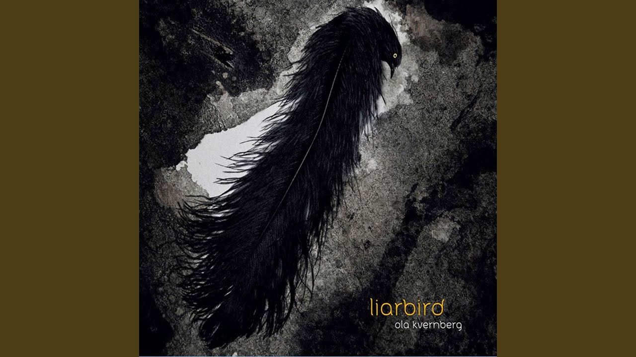 Liarbird - YouTube