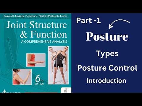 Posture - Biomechanics - Types - Postural Control -Kinematic L-1 - YouTube