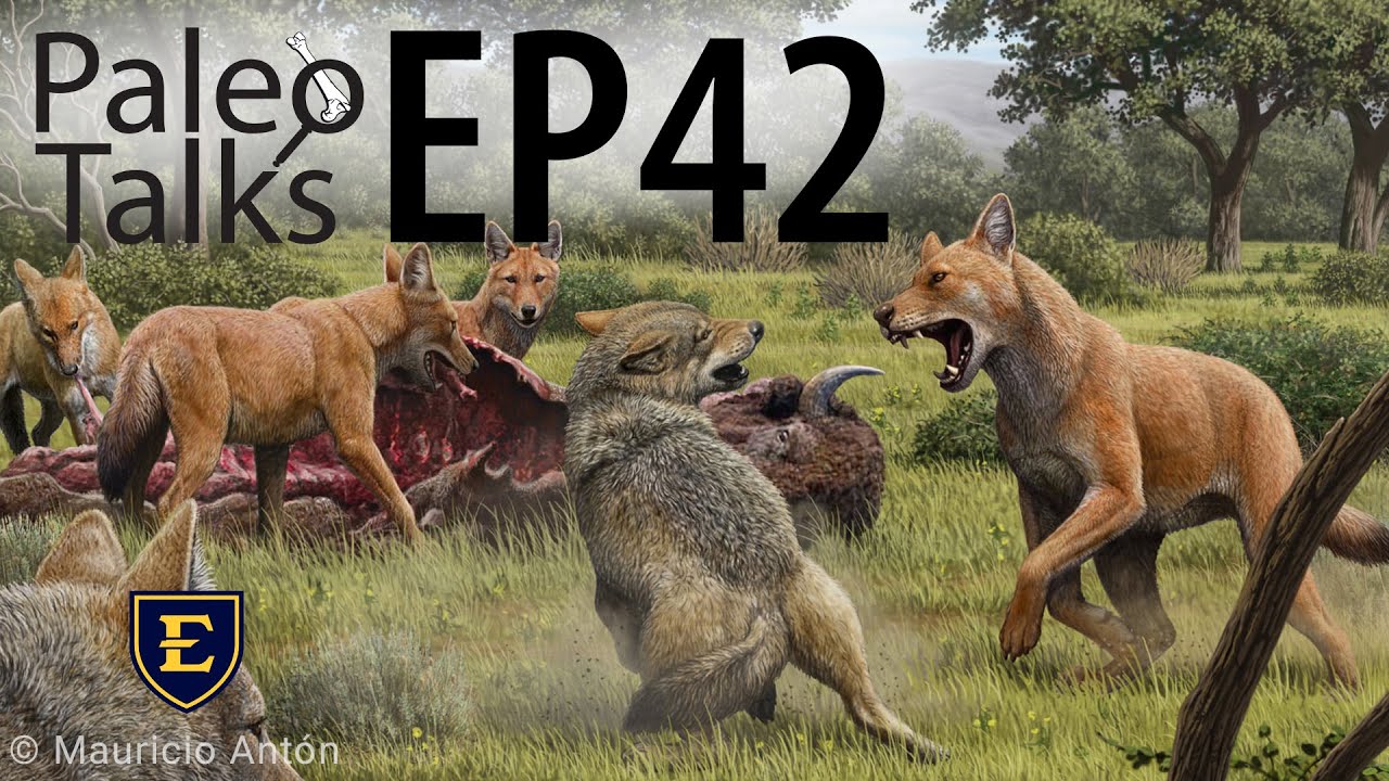 The Stark Evolutionary History of the Dire Wolf [Paleo Talks EP 42 ...