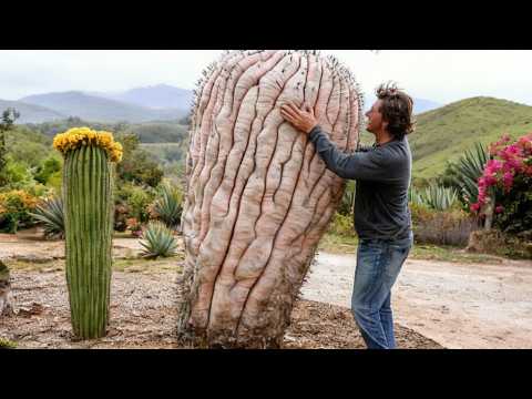 25 Exotic Flowers You’ve Never Seen Before