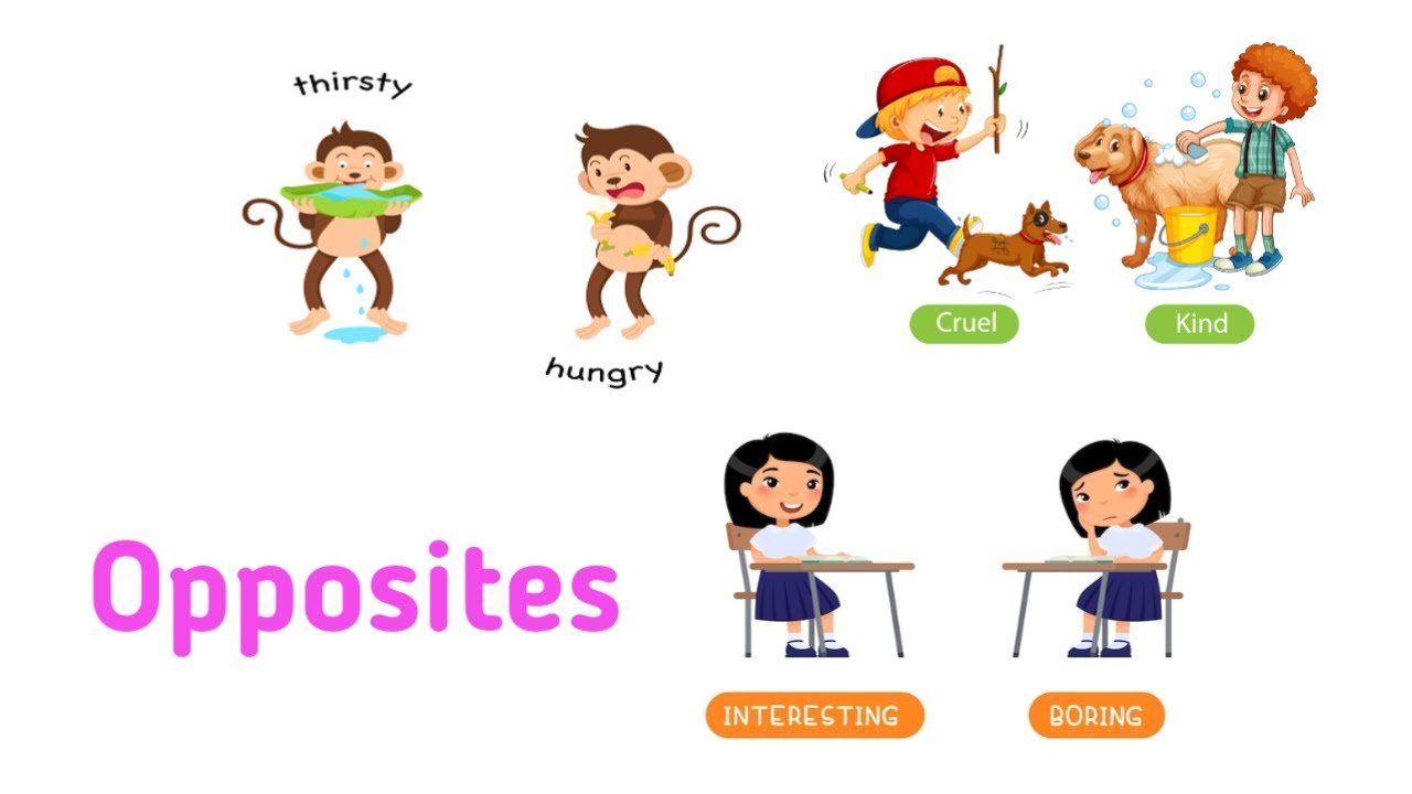 Opposite words for preschoolers | Kids educational video for kids ...