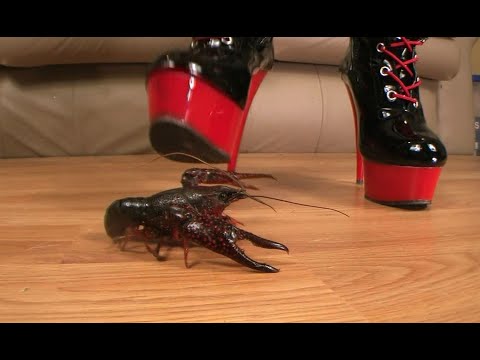 N13 - Bug Crush Teaser - Red'n'Black boots and Сrayfish