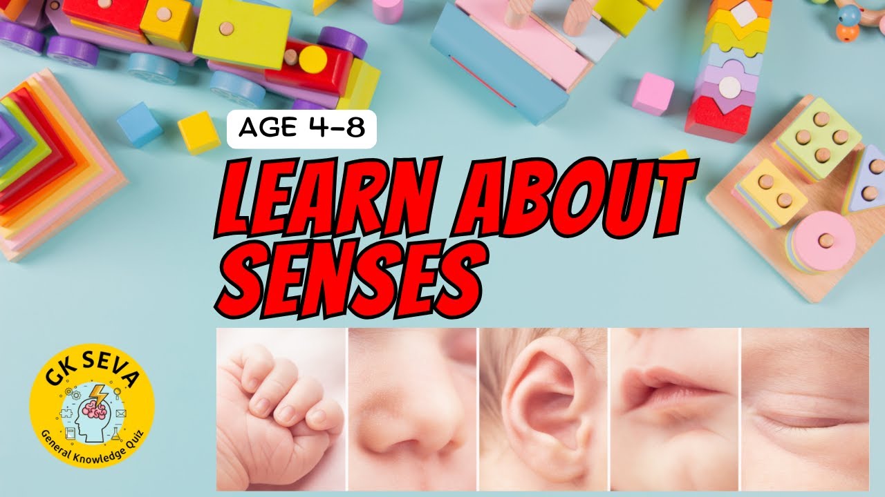"The Amazing Power of Your 5 Senses — You Won’t Believe How They Work ...