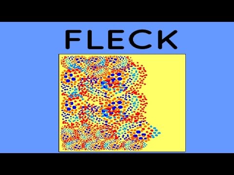 fleck - YouTube