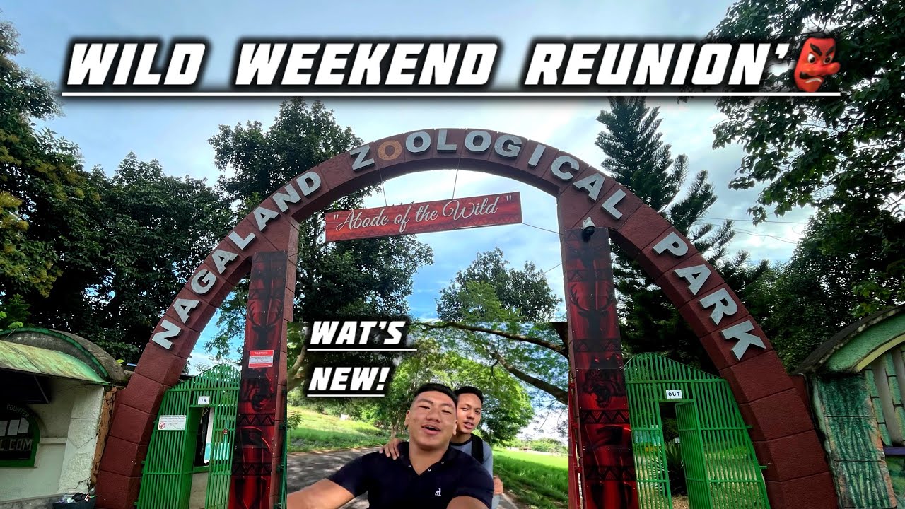 NAGALAND ZOO EXPLORATION🧭 after ages’🗓️ #nagaland #dimapur #vlog # ...