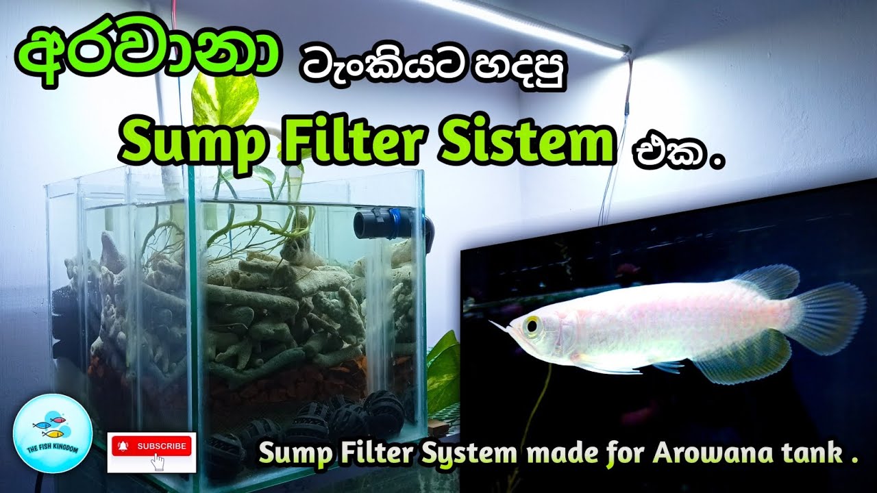 පොඩි ටැංකියකට ගැලපෙනම විදිහට Overhead Sump එකක් හදාගමු / Let's make a ...