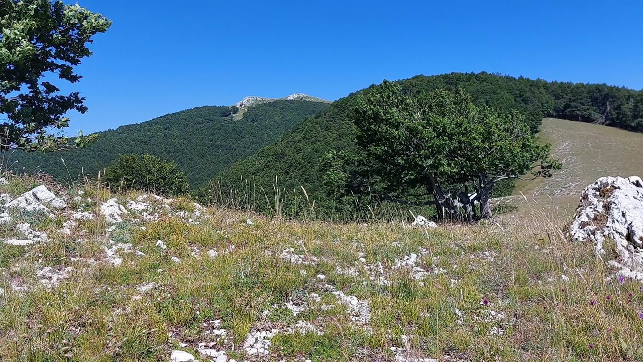 Calming Mountain View with Sounds of Nature - YouTube
