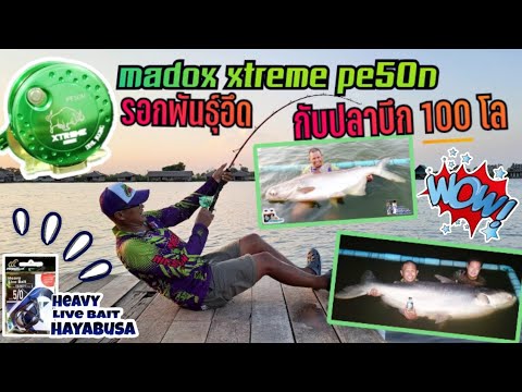เทส madox xtreme pe50n รอกพันธุ์อึดกับปลาบึก 100 กิโล ที่บึงสำราญ #madoxxtreme #madox - YouTube