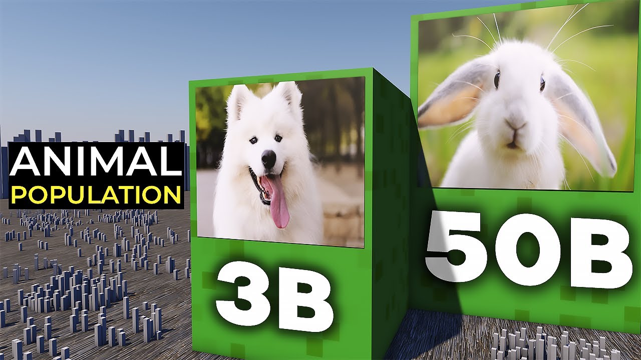 Animal Populations In The World. 3D Comparison - YouTube