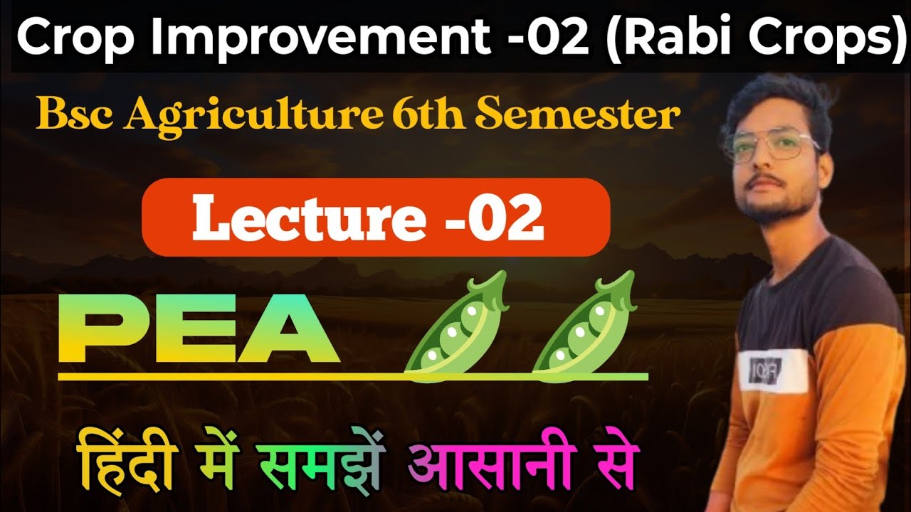 Crop Improvement-02 (Rabi Crops) |Lecture -01| Improvement Of Pea ...