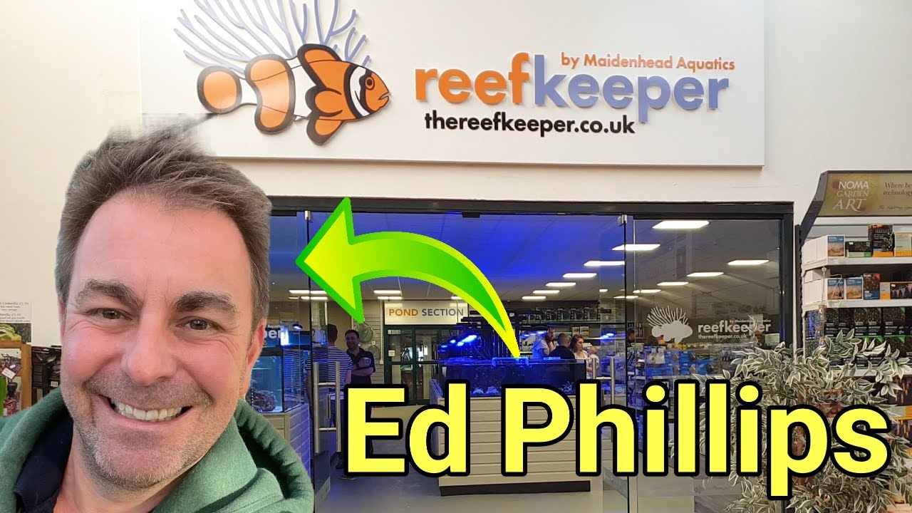 The Reality of Running a LFS With Ed From Reefkeeper Moss End | The ...