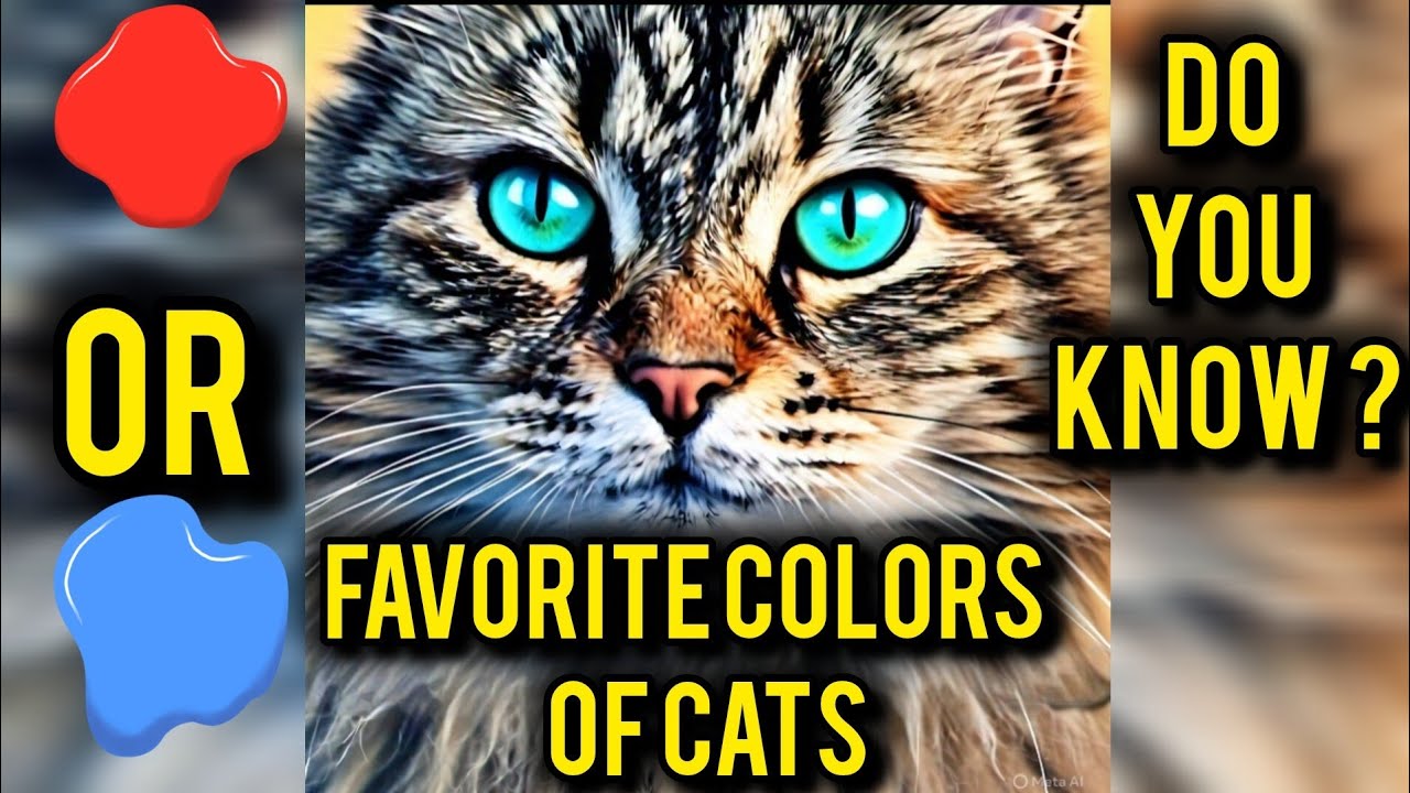 The Secrets Of CATS LIFE | FAVORITE COLORS of cats - YouTube
