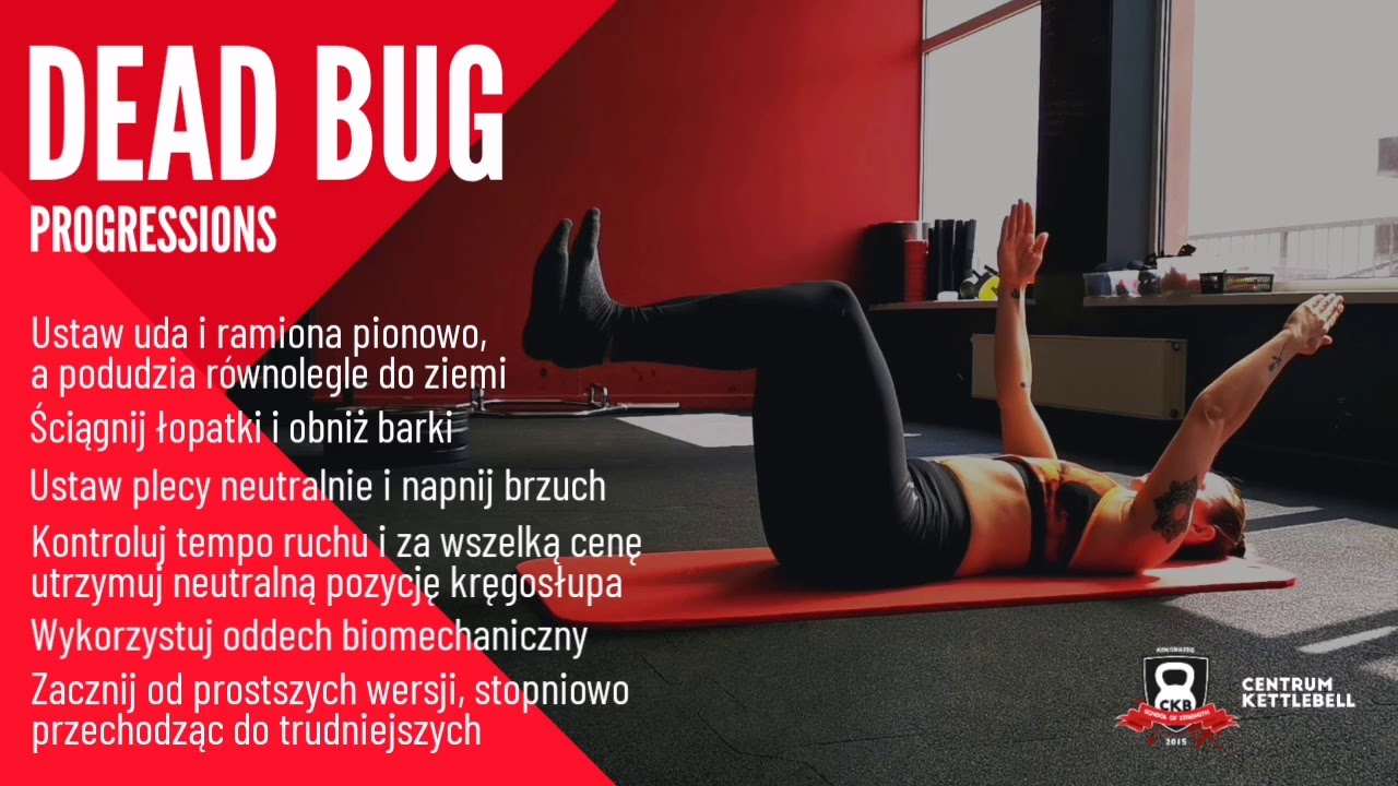 Dead Bug / Progressions - YouTube