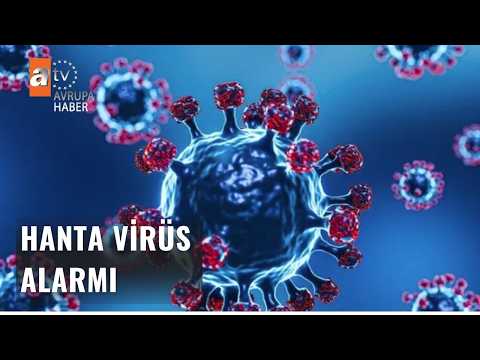 Hanta virüs Alarmı