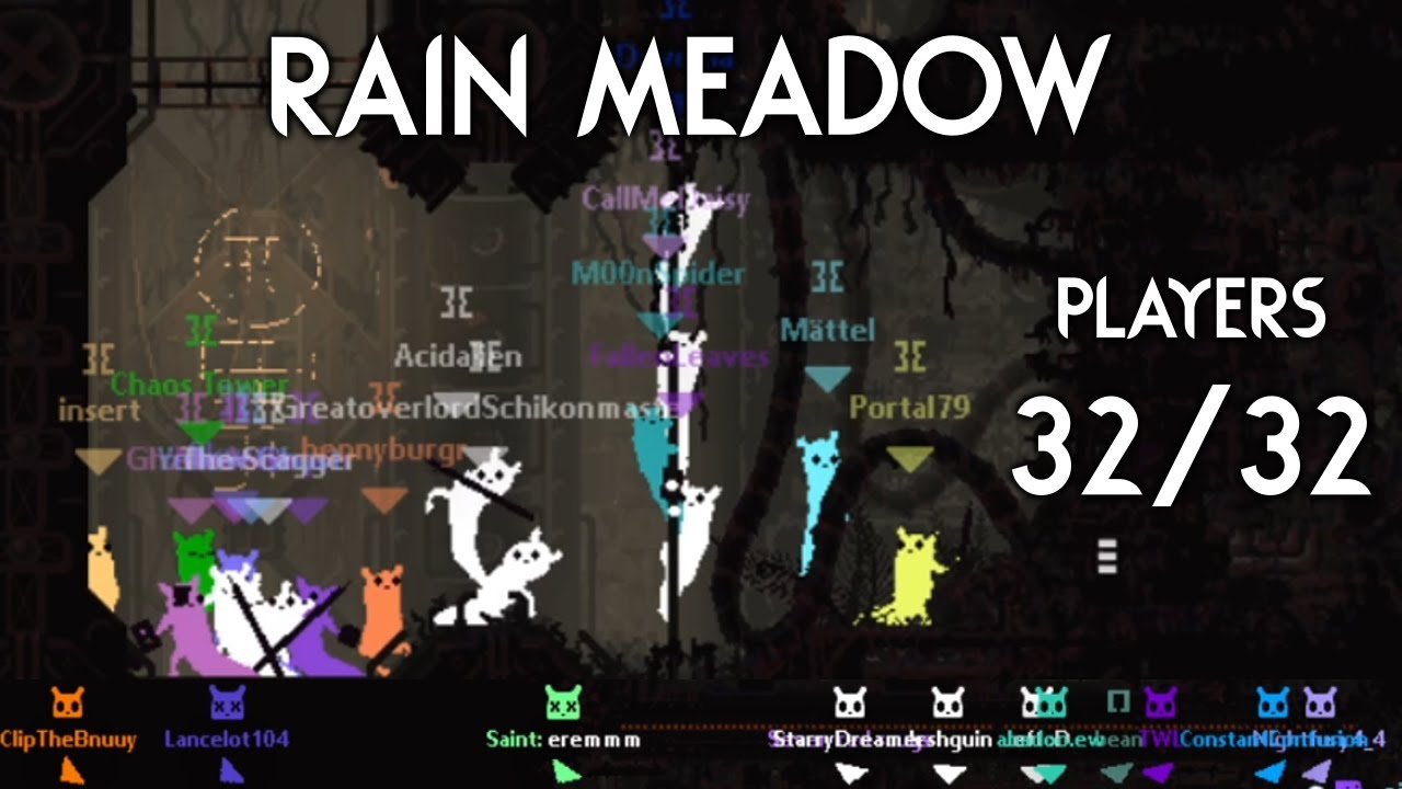 Rain World Online Multiplayer Is Chaotic - YouTube