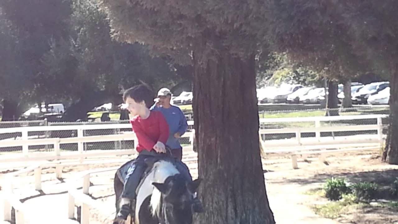 Bella's Pony Ride - Lap 1 - YouTube