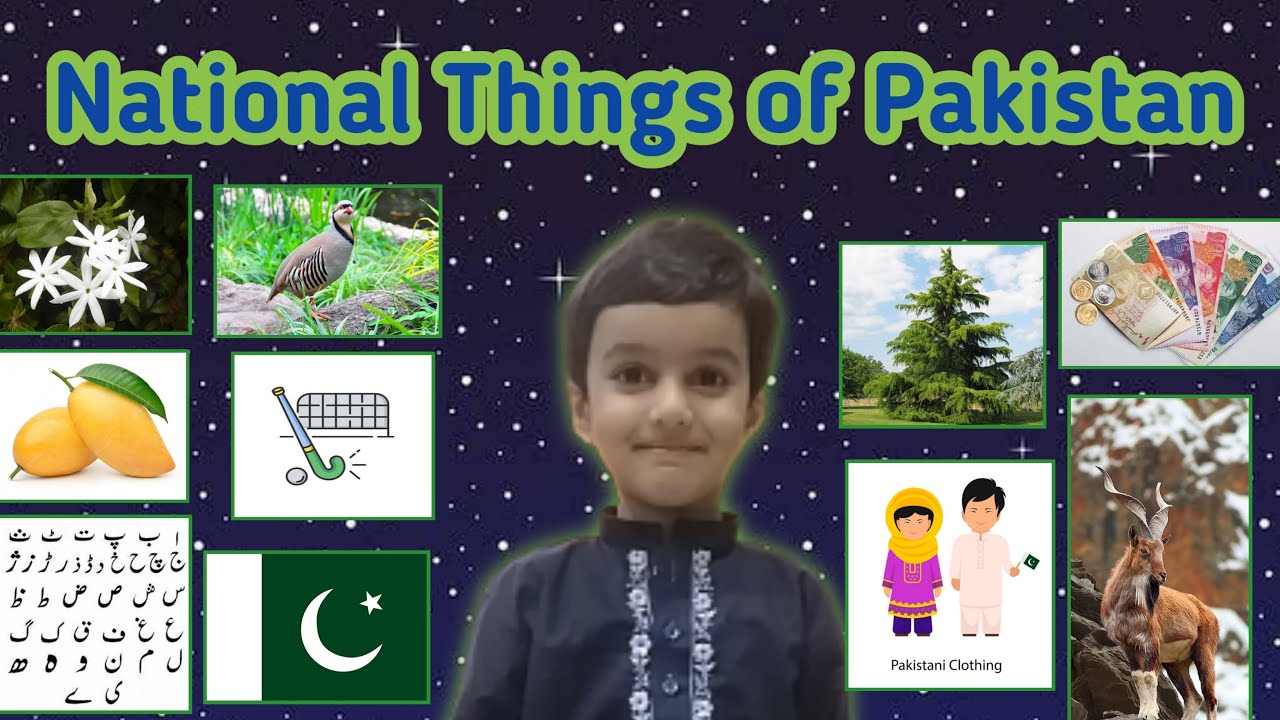 National Things of Pakistan | Symbols of Our Country | General ...