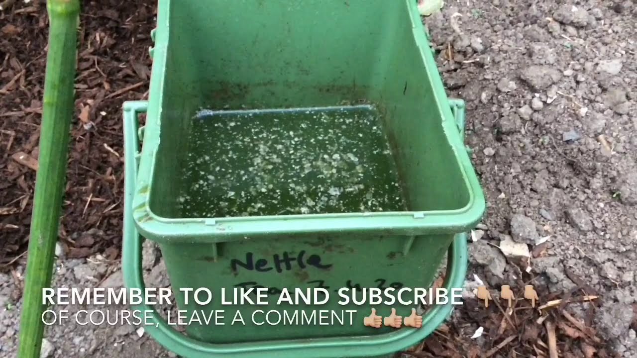 Composting, nettle plant food (nettle fertilizer) - YouTube