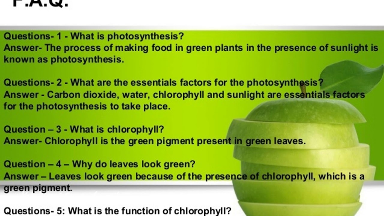 Class 7th Science chapter-1(Nutrition in plants) Part-2 - YouTube