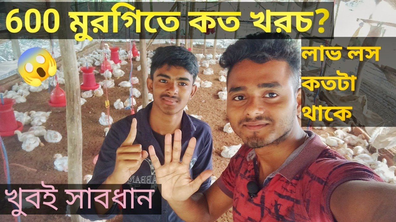 How To Start 600 Chicks Poultry।। #poultrybusinesstips - YouTube