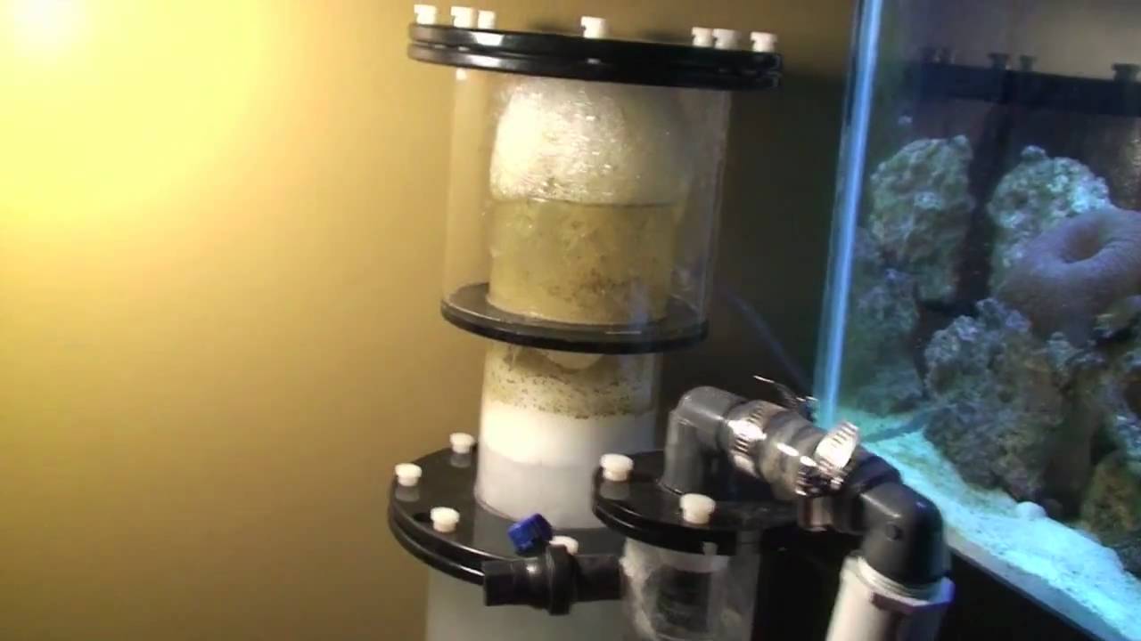 MR2 Protein Skimmer Update - YouTube