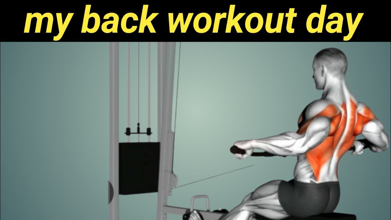 my back workout day |gym|fitness|workout|daily|routine| - YouTube