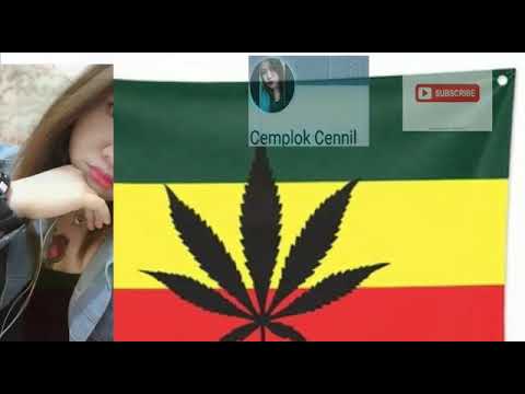 VAGETOS- KEHADIRANMU || LIRIK ,.