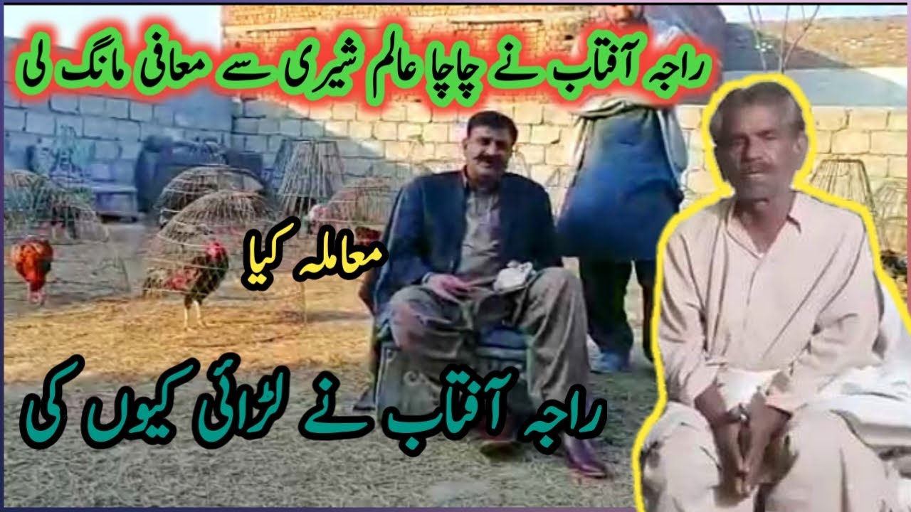 Raja Aftab Murg Baaz Message Of Chacha Alam Sheri || Alam Sheri Ne ...