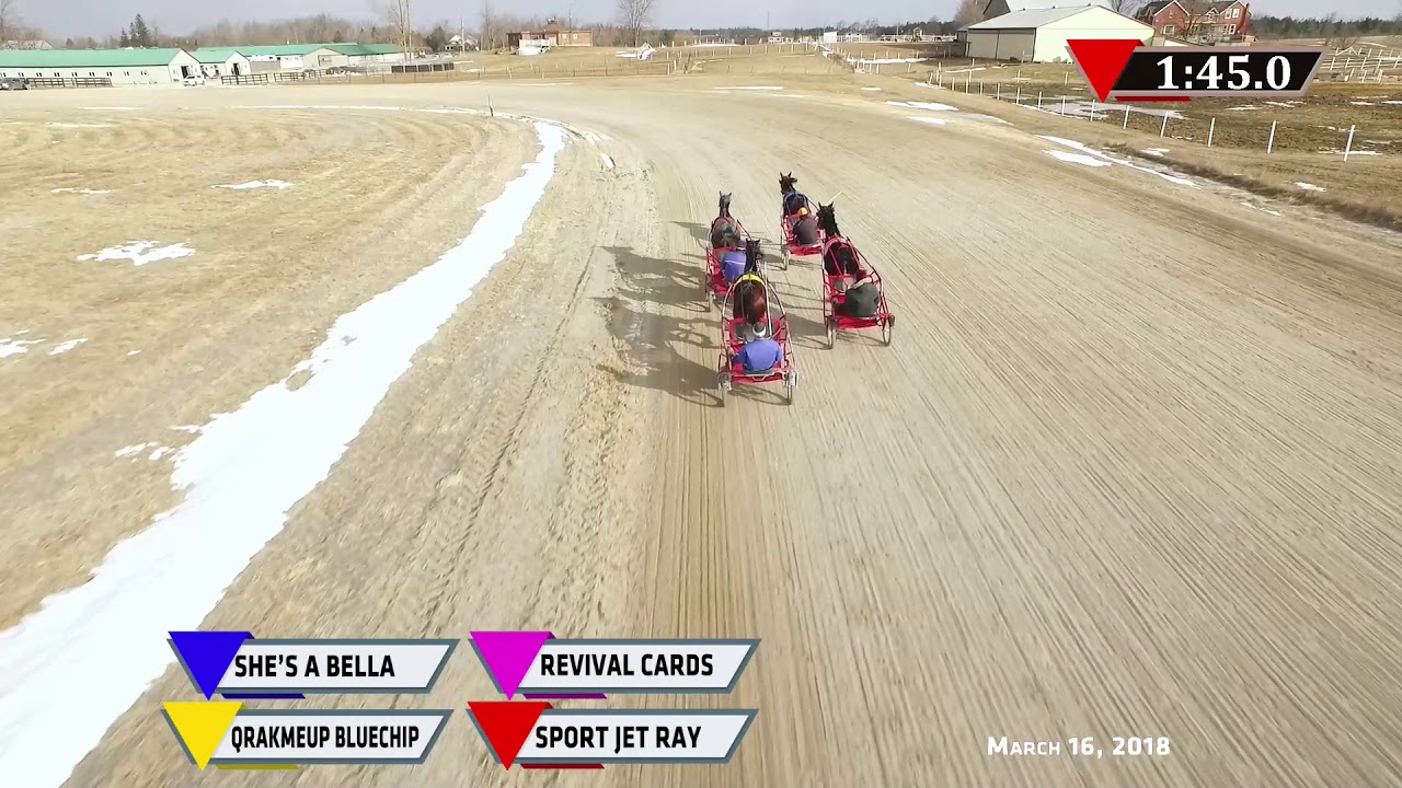 SPORT JET RAY, QRAKMEUP BLUECHIP, SHE’S A BELLA, REVIVAL CARDS, BLAKE ...