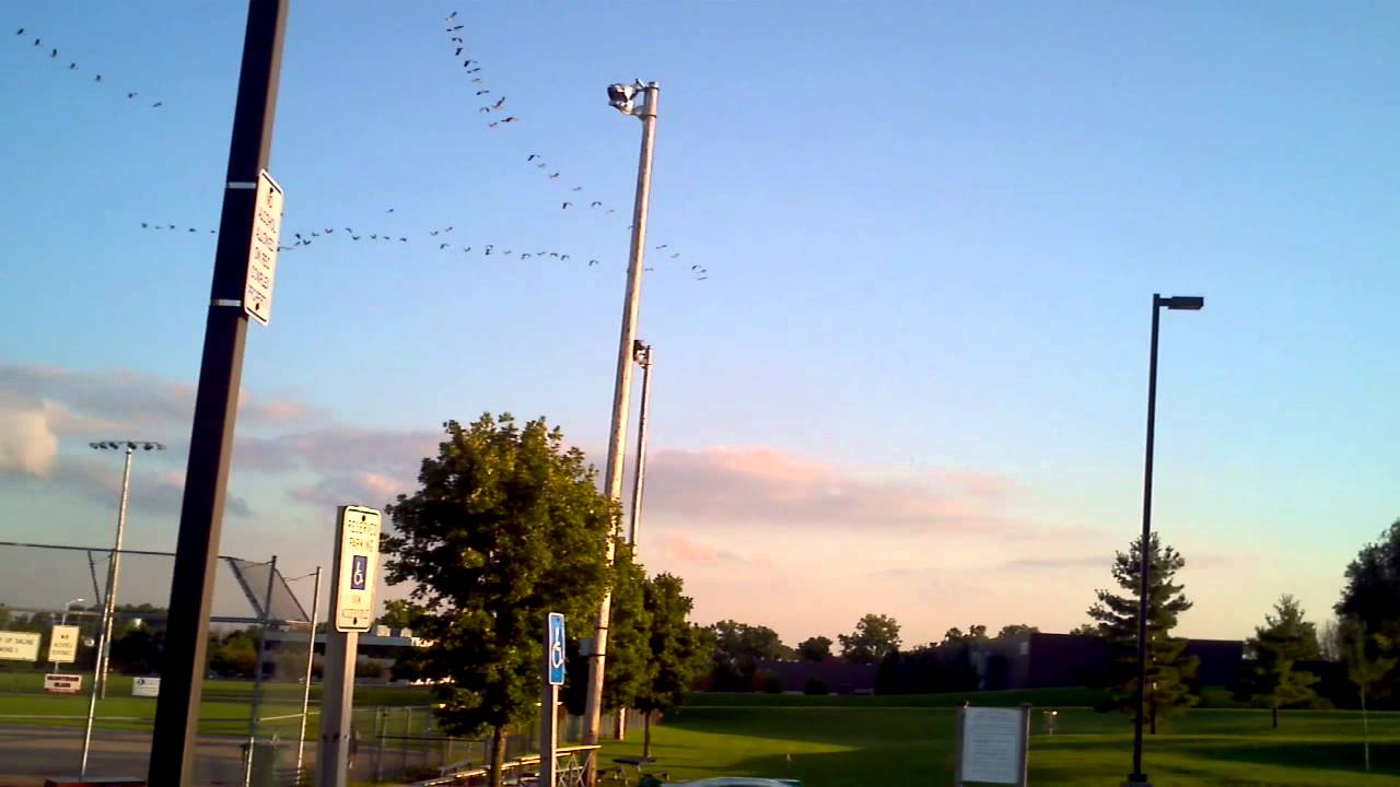 Getting ready to go south early - YouTube