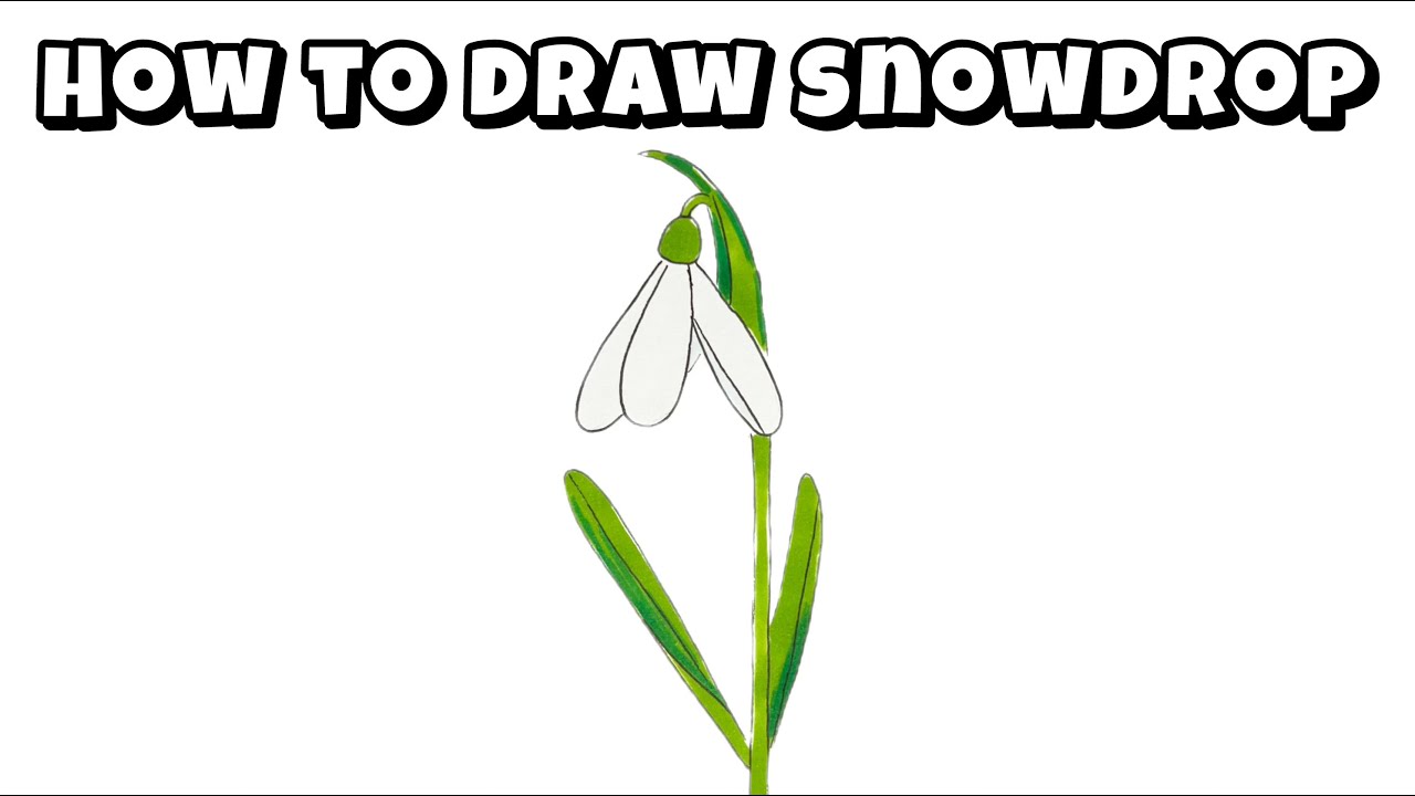 How to Draw Early-blooming Snowdrop – Marker Drawing Instruction for ...