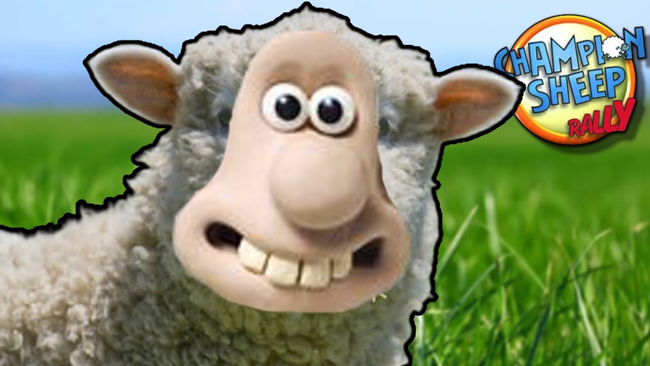 WALLACE IS BESTEST SHEEP!!! / Championsheep Rally - YouTube